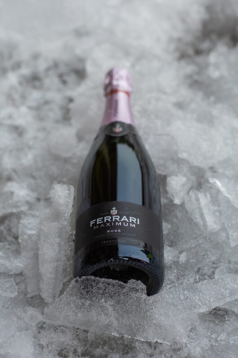 Does Wine Freeze? The Do's and Don'ts of Frozen Wine | Choice Wineries