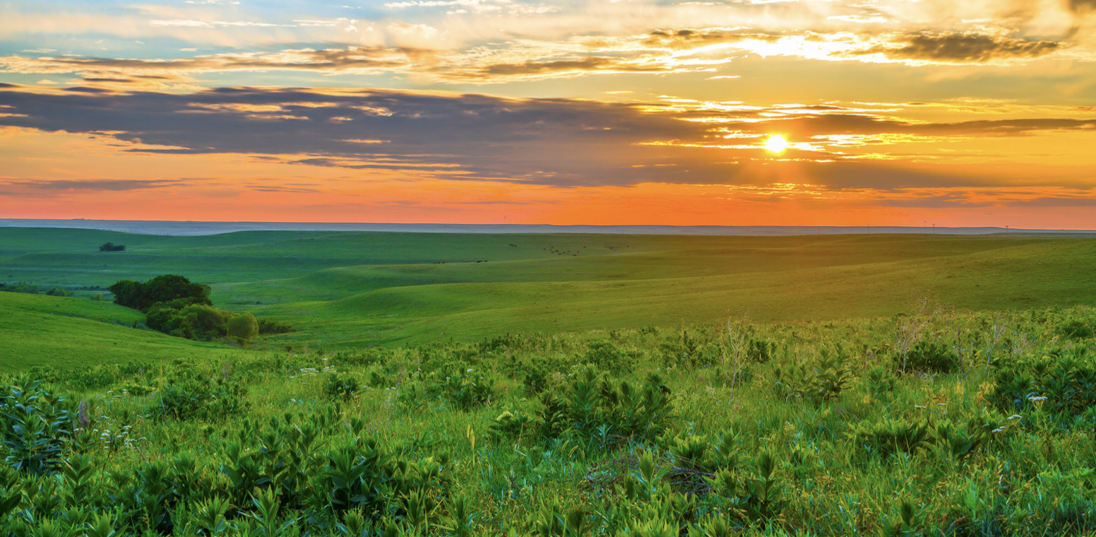 The 10 Best Wineries in Kansas to Visit - Choice Wineries