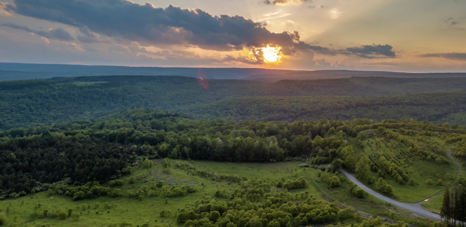 The 10 Best Wineries in Pennsylvania to Visit | Choice Wineries