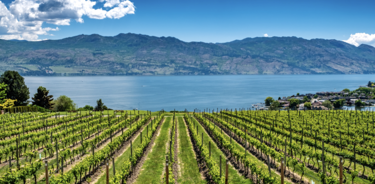 The 10 Best Applegate Valley Wineries to Visit - Choice Wineries