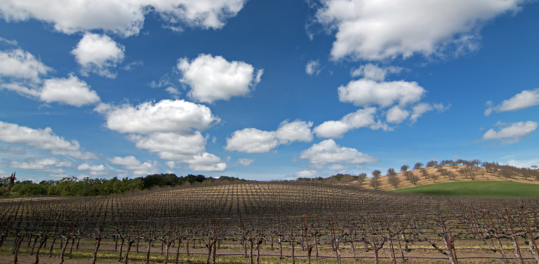 The 10 Best Wineries in Paso Robles to Visit | Choice Wineries